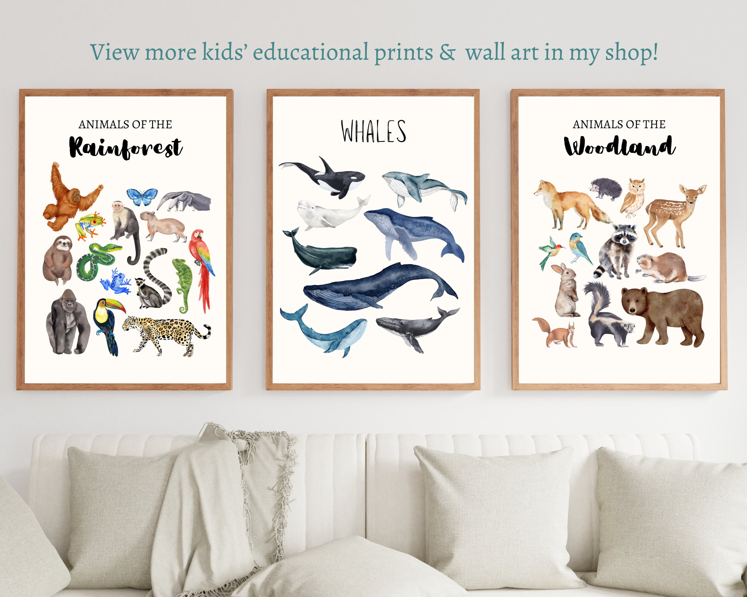Animal Classifications Prints Set of 6 Homeschool Printable Animal ...