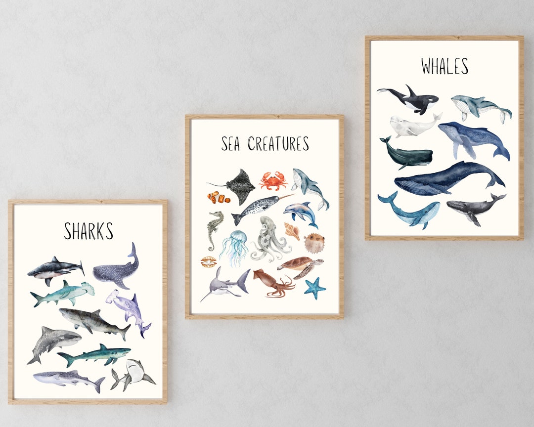 Sea Creatures Poster Set of 3 Whales and Sharks Prints Ocean Themed ...