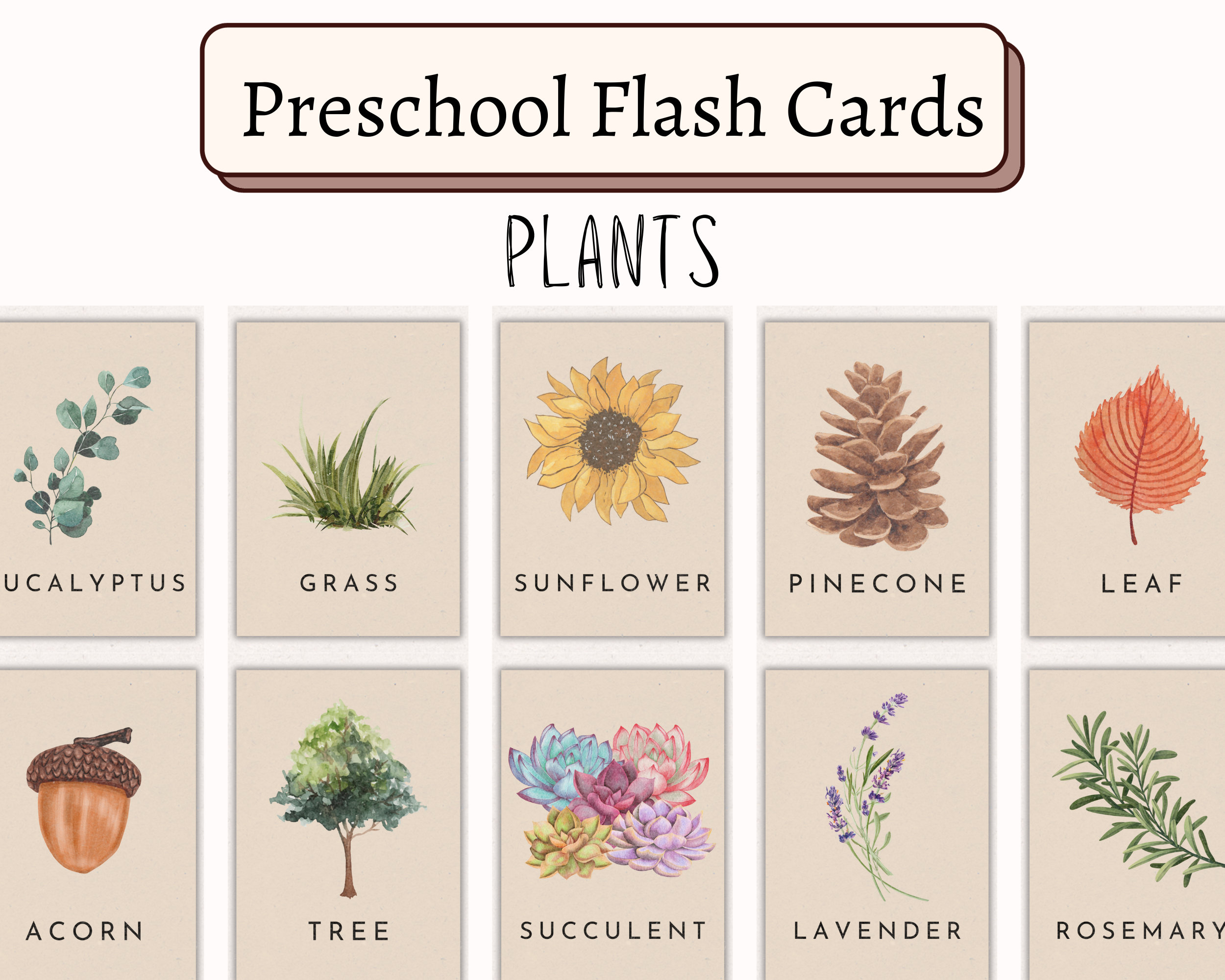 24 Plants Flashcards Montessori Botanical Flashcards for Kids Nature ...