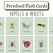 30 Toddler Color Flashcards Printable Montessori Color Mixing Education ...