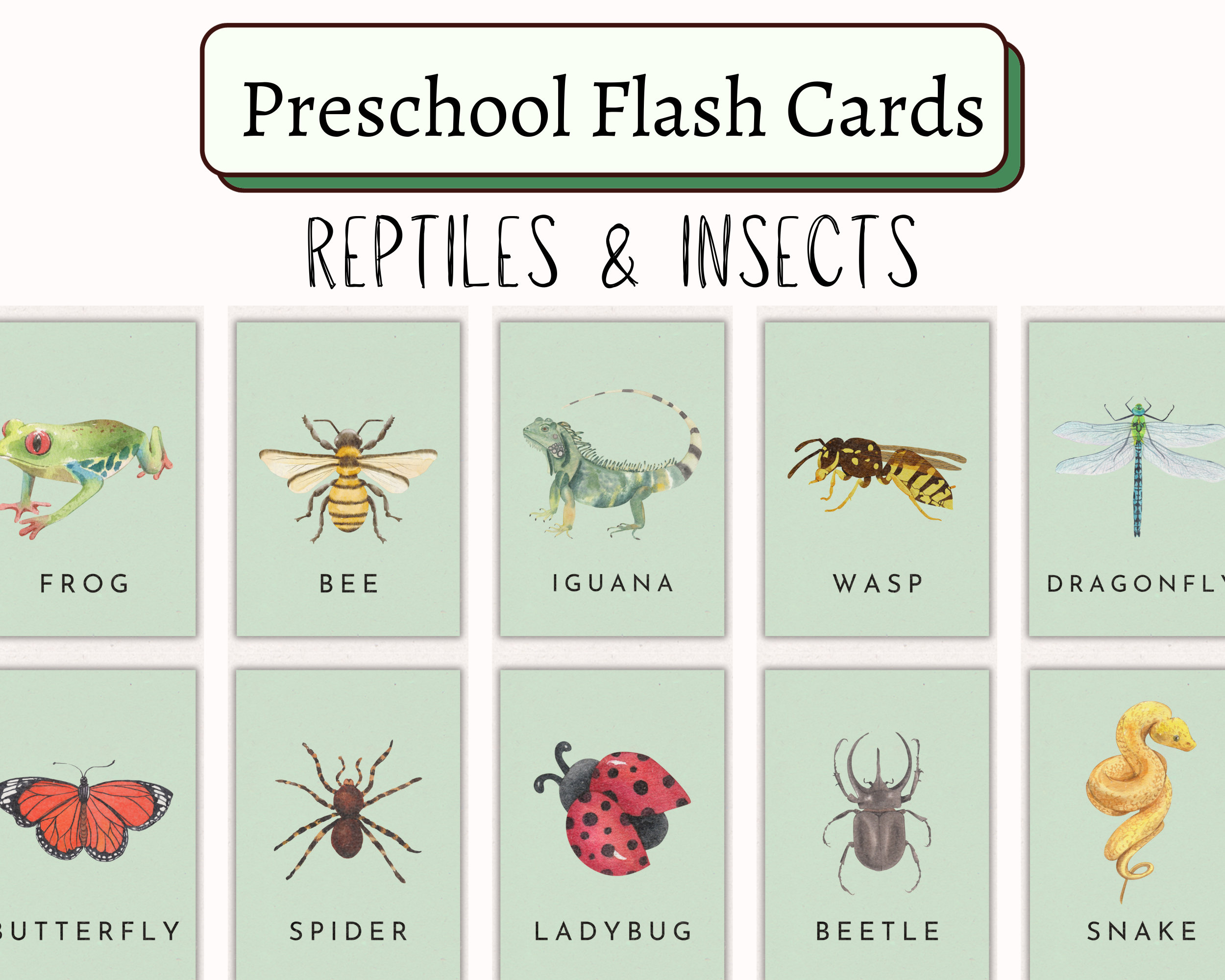 Montessori Nature Flashcards: Reptiles, Insects, and Bugs for ...