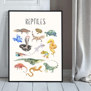 Reptiles Educational Print | Nature Playroom Wall Art | Reptile Art for ...