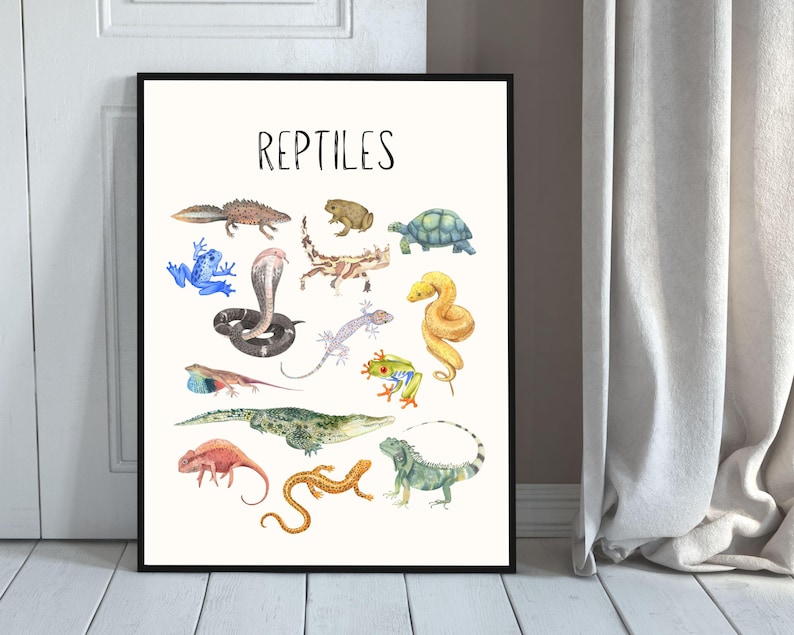 Reptiles Educational Print | Nature Playroom Wall Art | Reptile Art for ...