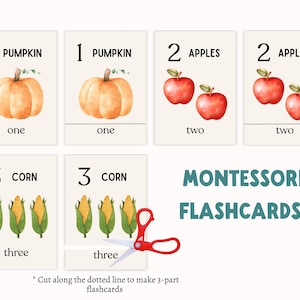 Autumn Number Flash Cards 1-20 Printable | Montessori 3-part Cards ...