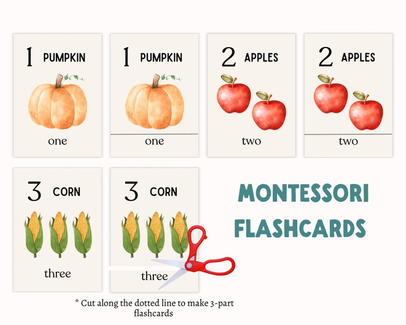 Autumn Number Flash Cards 1-20 Printable | Montessori 3-part Cards ...