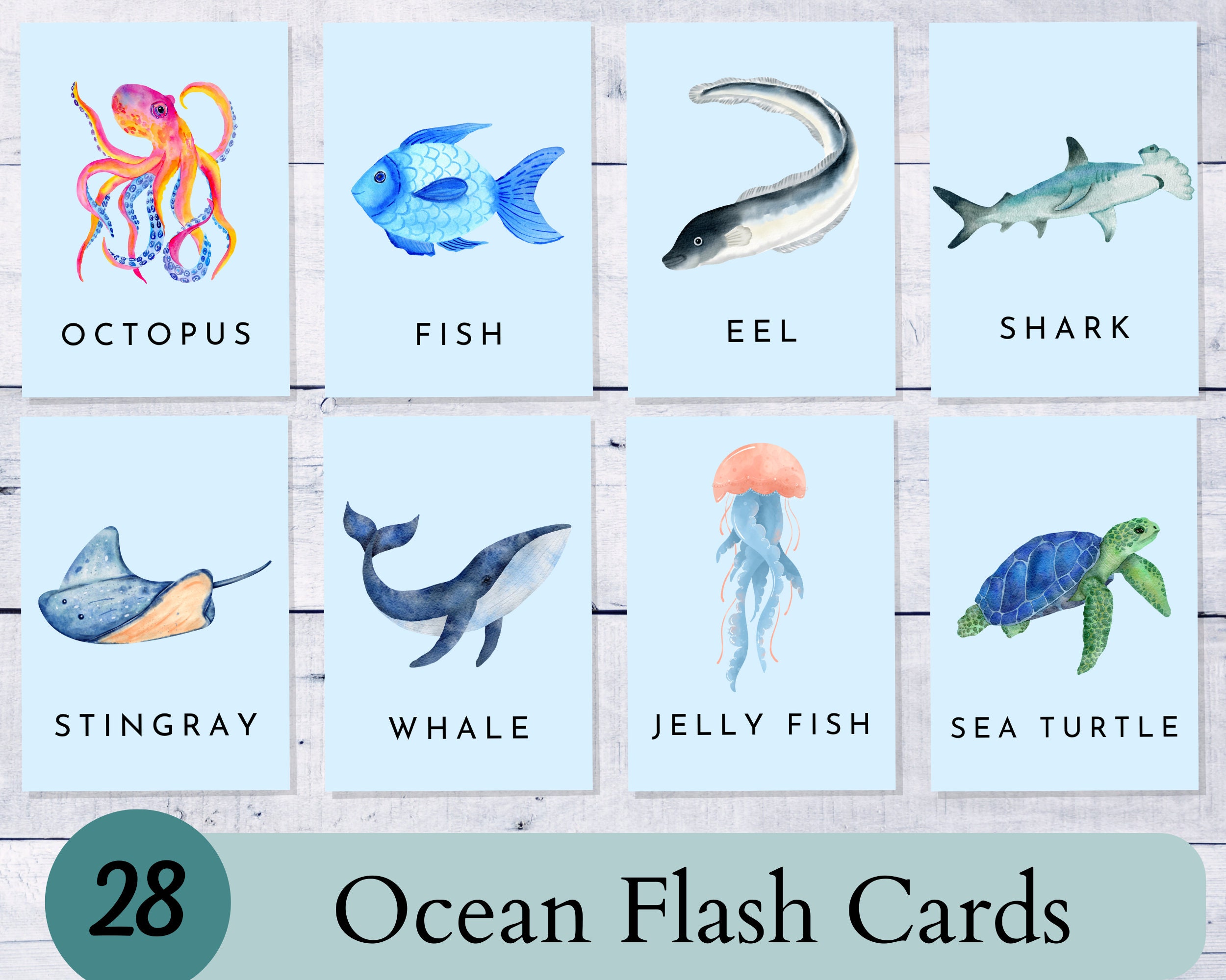 28 Ocean Animals Cards Sea Creatures Flashcards Ecosystem Unit ...