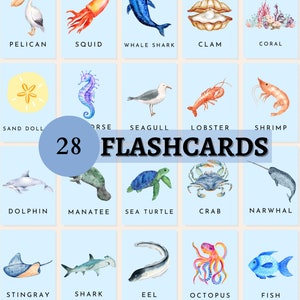 Ocean Animals and Sea Creatures Flashcards | Montessori Nomenclature ...