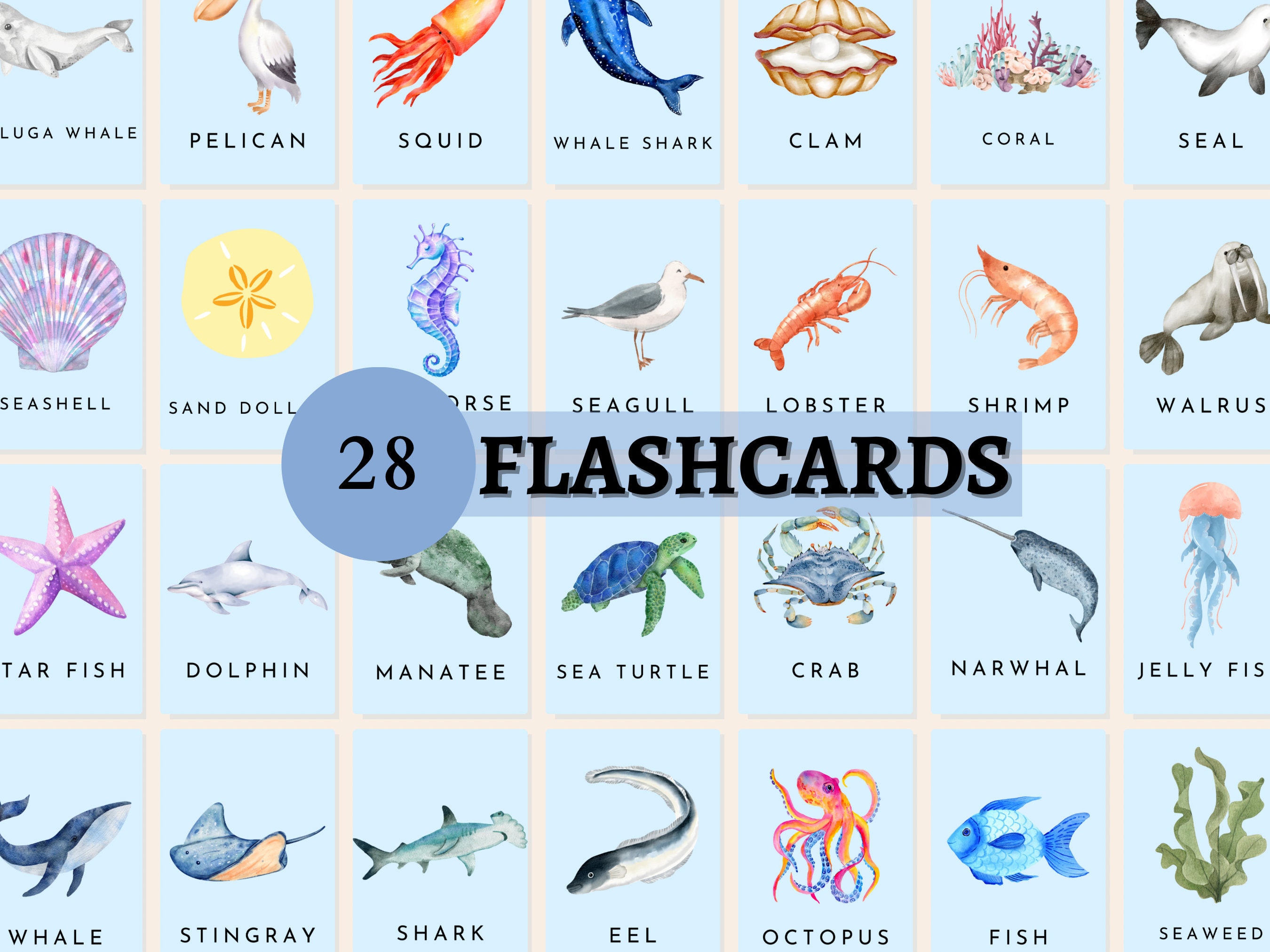 28 Ocean Animals Cards Sea Creatures Flashcards Ecosystem Unit ...