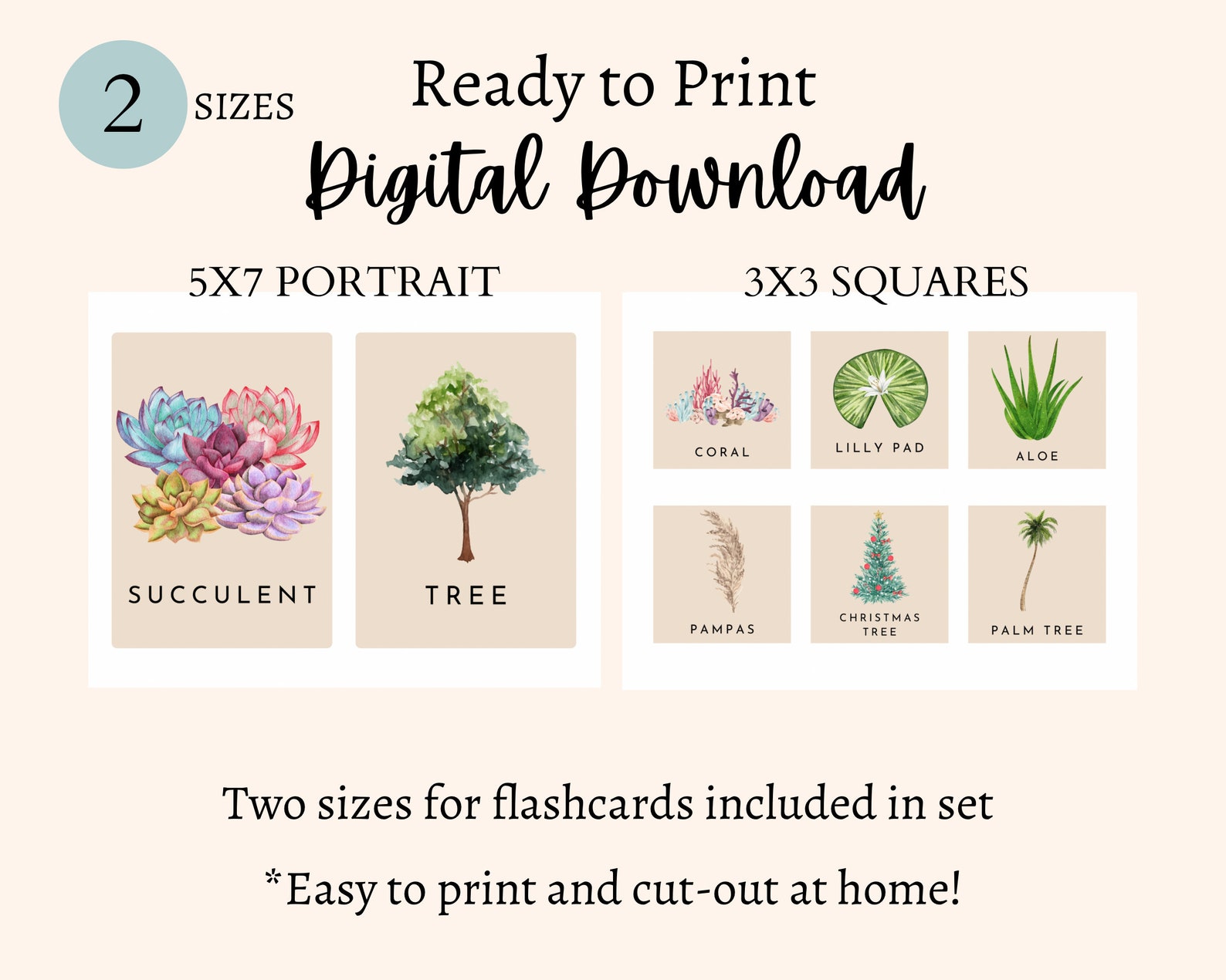 24 Plants Flashcards Montessori Botanical Flashcards for Kids Nature ...