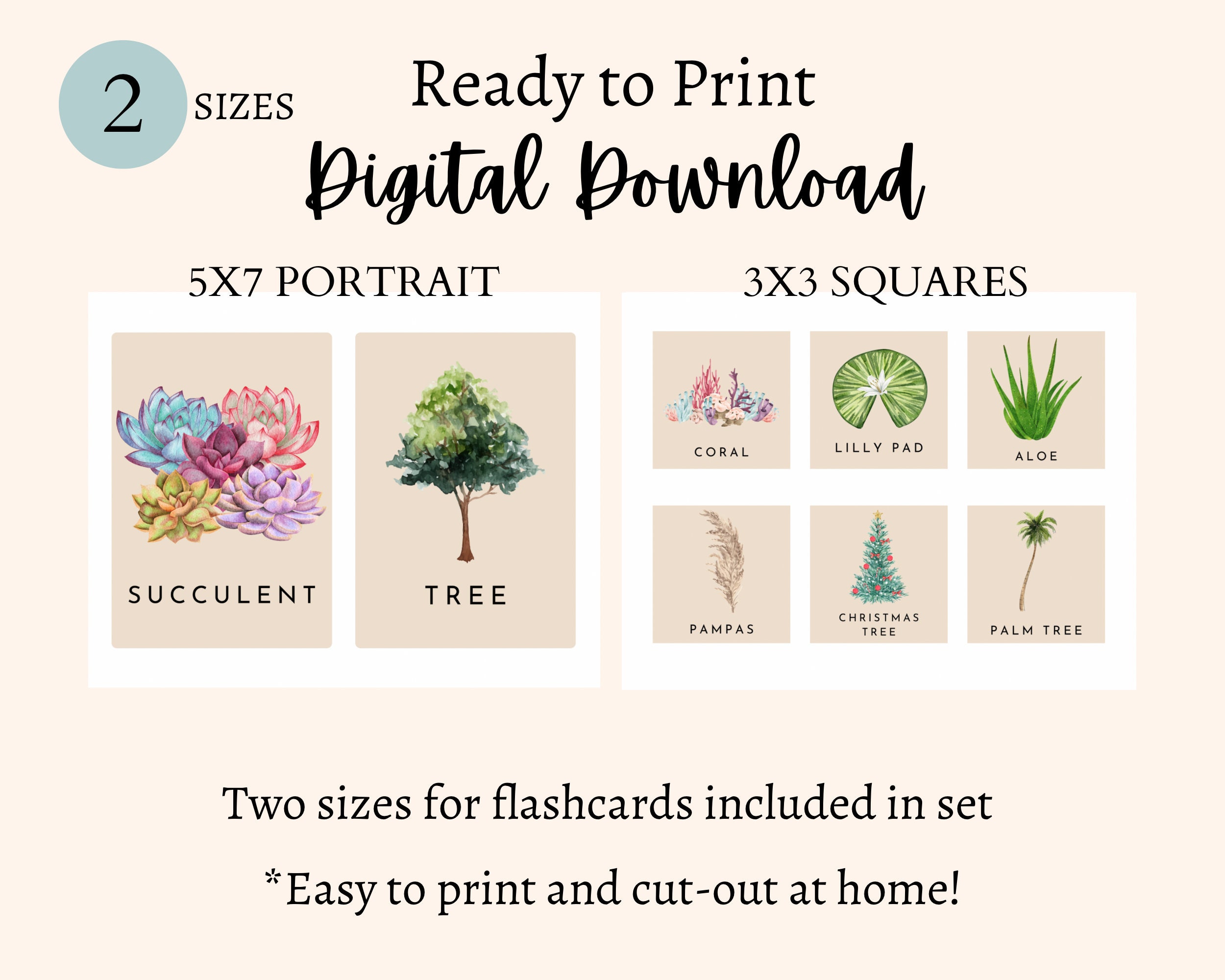 24 Plants Flashcards Montessori Botanical Flashcards for Kids Nature ...