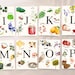 Garden Alphabet Flashcards Printable | Nature Scavenger Hunt | Spring ...