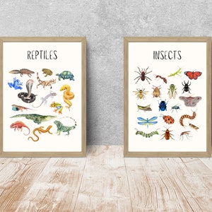 Animal Classifications Prints Set of 6 | Homeschool Printable ...