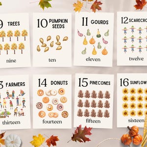 Fall Number Cards 1-20 Printable Flash Cards | Montessori 3 Part Cards ...