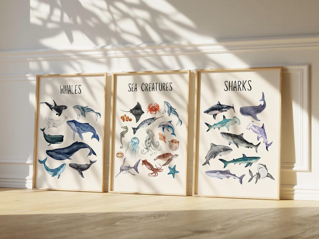 Sea Creatures Poster Set of 3 | Whales and Sharks Prints | Ocean Themed ...