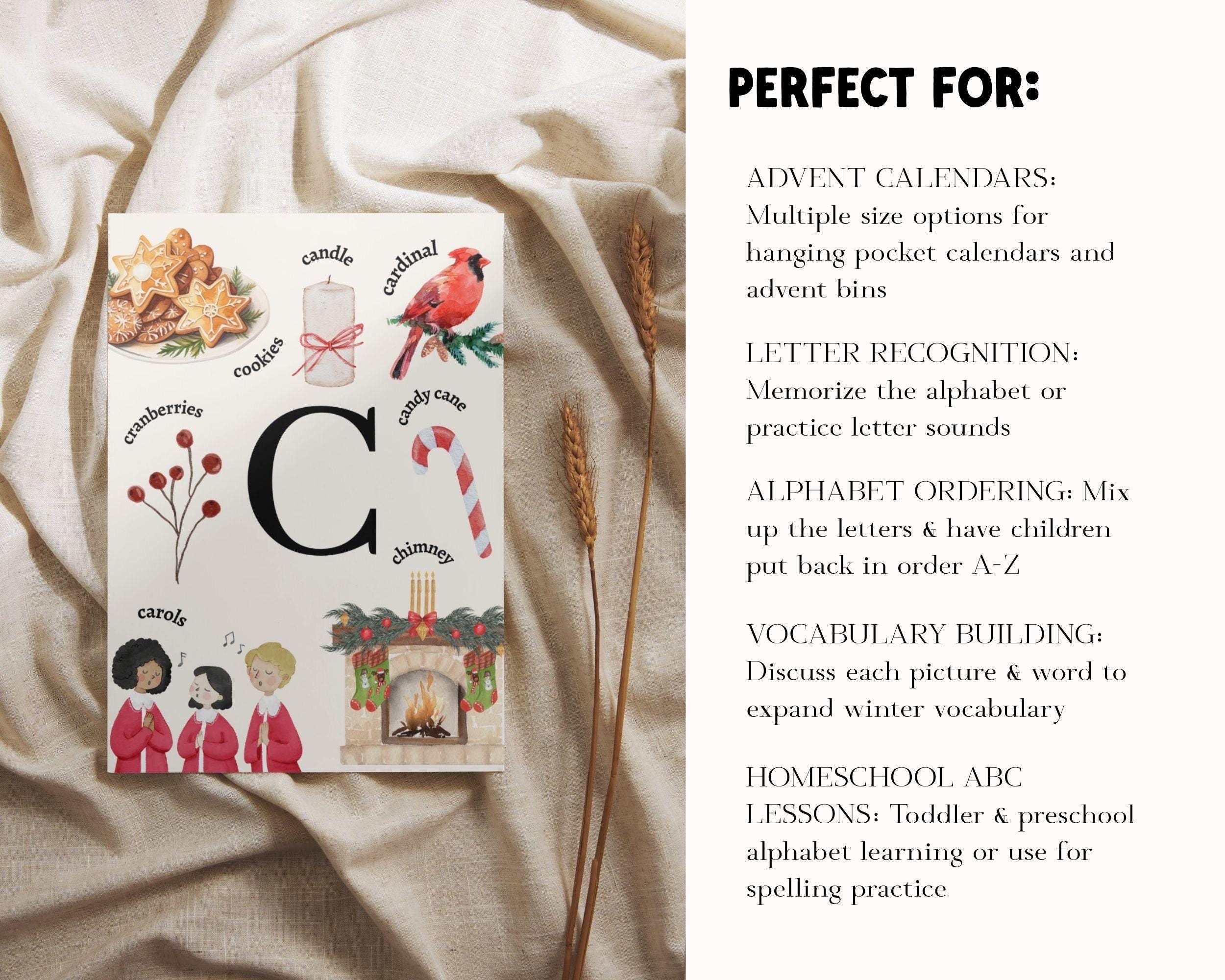 Winter Alphabet Cards: Printable Christmas ABC for Nature Study ...