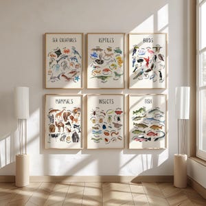 Animal Classifications Prints Set of 6 | Homeschool Printable ...