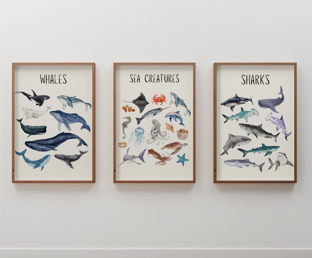 Sea Creatures Poster Set of 3 | Whales and Sharks Prints | Ocean Themed ...