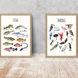 Animal Classifications Prints Set of 6 | Homeschool Printable ...