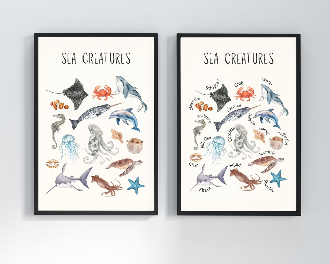 Sea Creatures Educational Prints | Homeschool Ocean Unit Study | Ocean ...