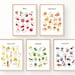 Winter Alphabet Cards | Printable Christmas ABC Cards | Nature Morning ...