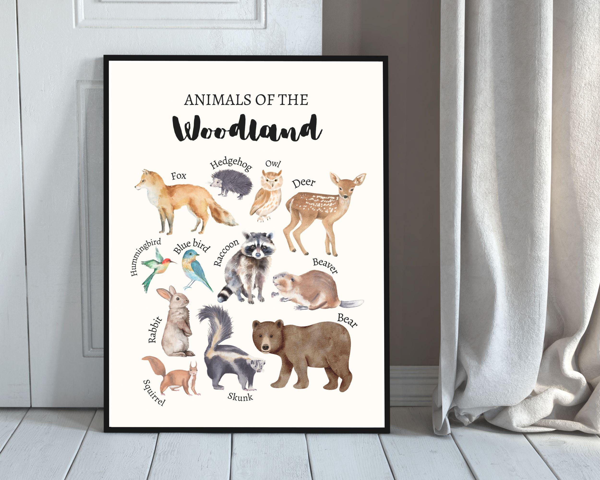 Woodland Forest Animals Educational Wall Art | Nature Themed Nursery ...