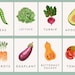 32 Fruits and Vegetables Flashcards Farmers Market Montessori Cards ...