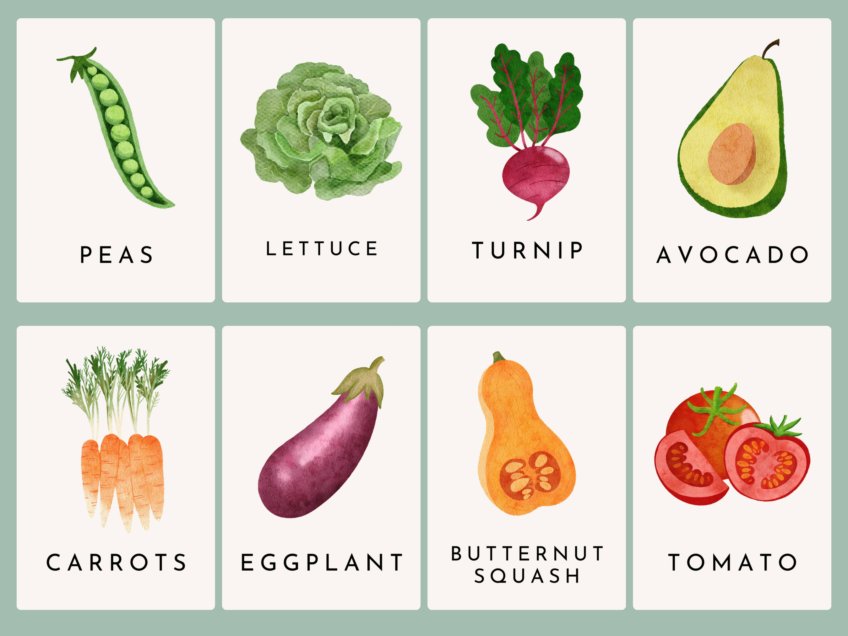 32 Fruits and Vegetables Flashcards Farmers Market Montessori ...