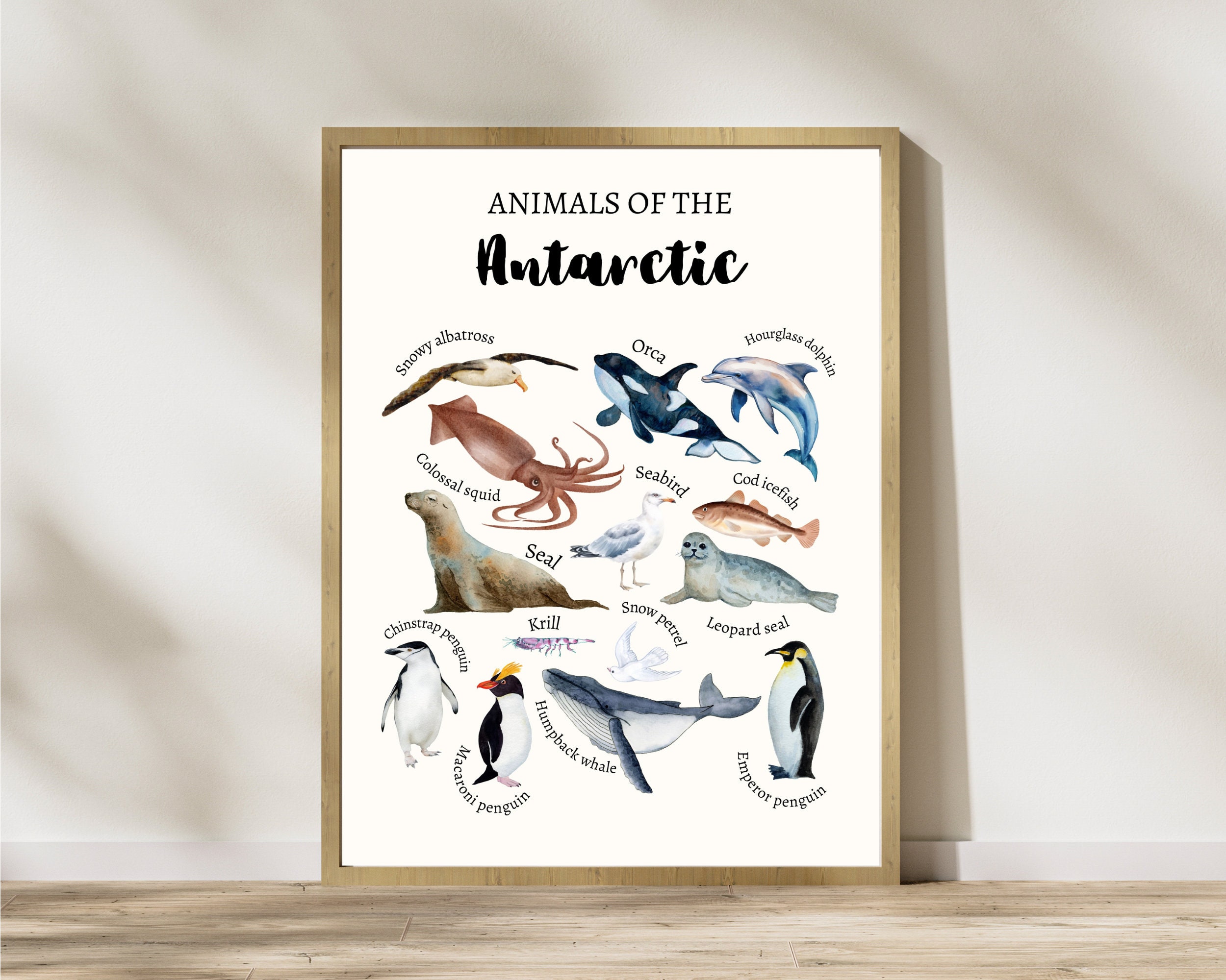 Polar Arctic Animals Educational Prints Arctic and Antarctic Animals ...