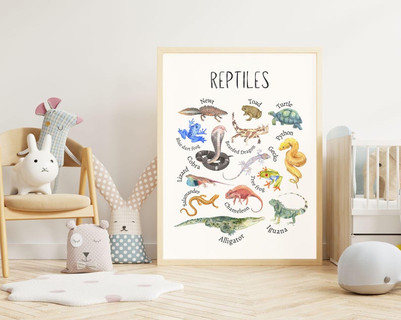 Reptiles Educational Print | Nature Playroom Wall Art | Reptile Art for ...