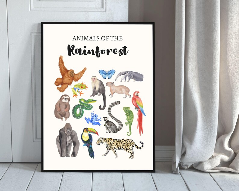 Rainforest Jungle Animals Educational Wildlife Art | Nature Themed ...