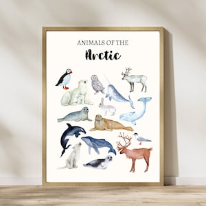Polar Arctic Animals Educational Prints for Montessori Homeschool ...