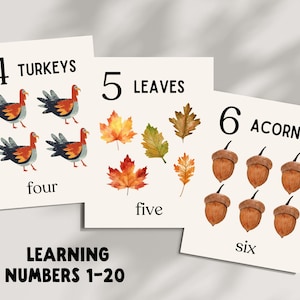 Autumn Number Flash Cards 1-20 Printable | Montessori 3-part Cards ...