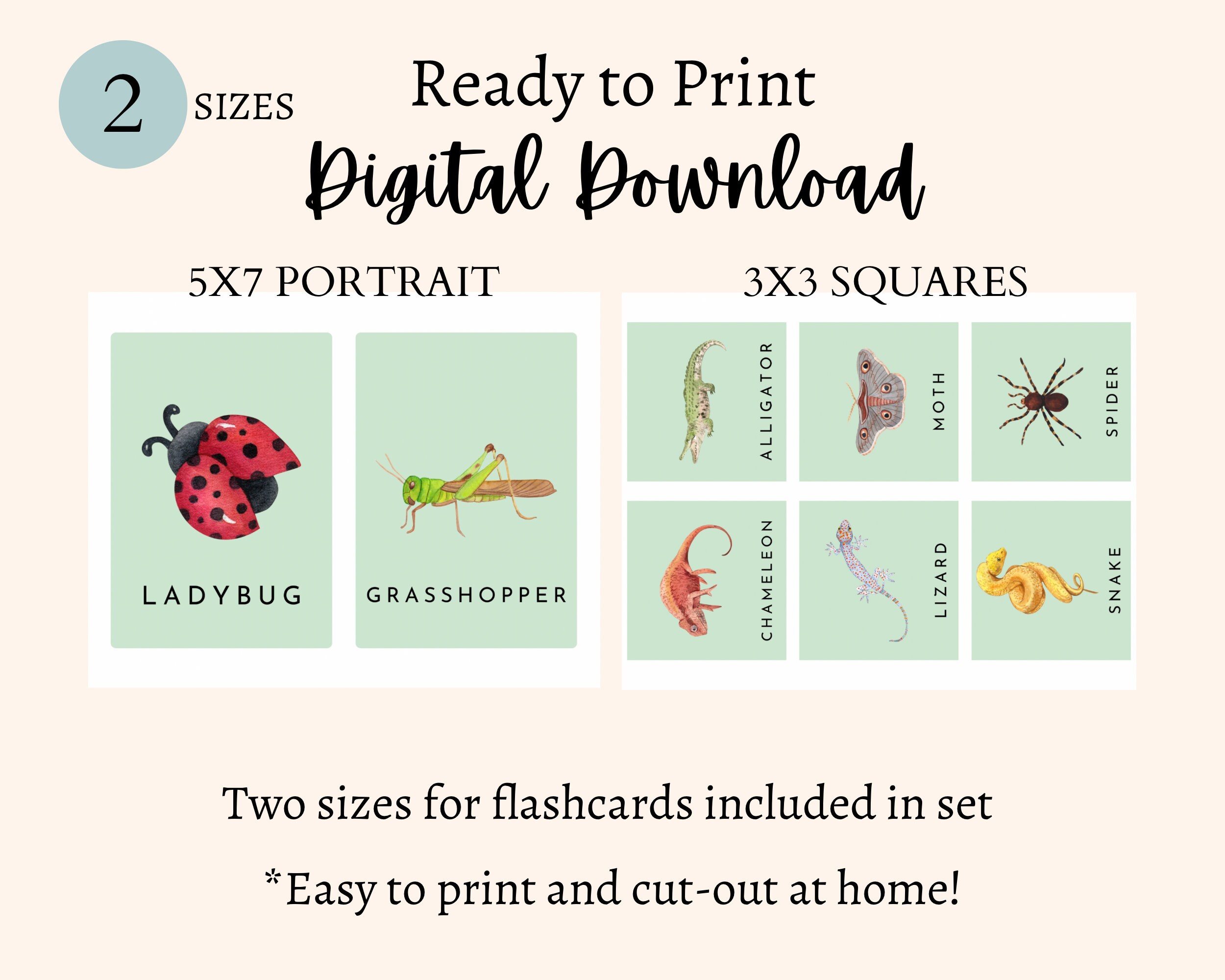 22 Insects and Reptiles Flashcards | Insect Montessori Unit ...