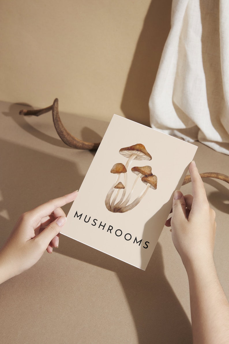 24 Plants Flashcards Montessori Botanical Flashcards for Kids Nature ...