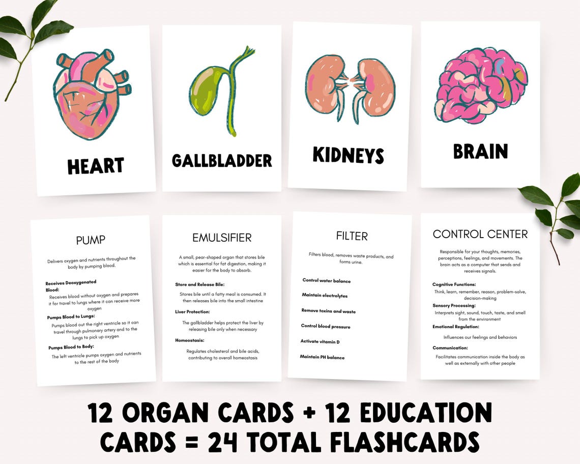 Anatomy Flashcards Printable – Human Body Parts & Organs for Homeschool ...