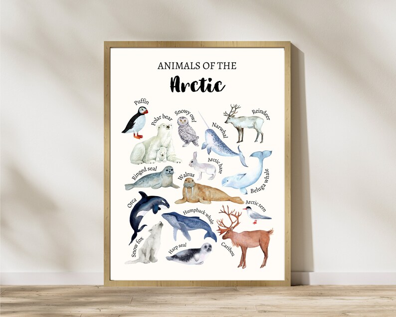Polar Arctic Animals Educational Prints Arctic and Antarctic Animals ...