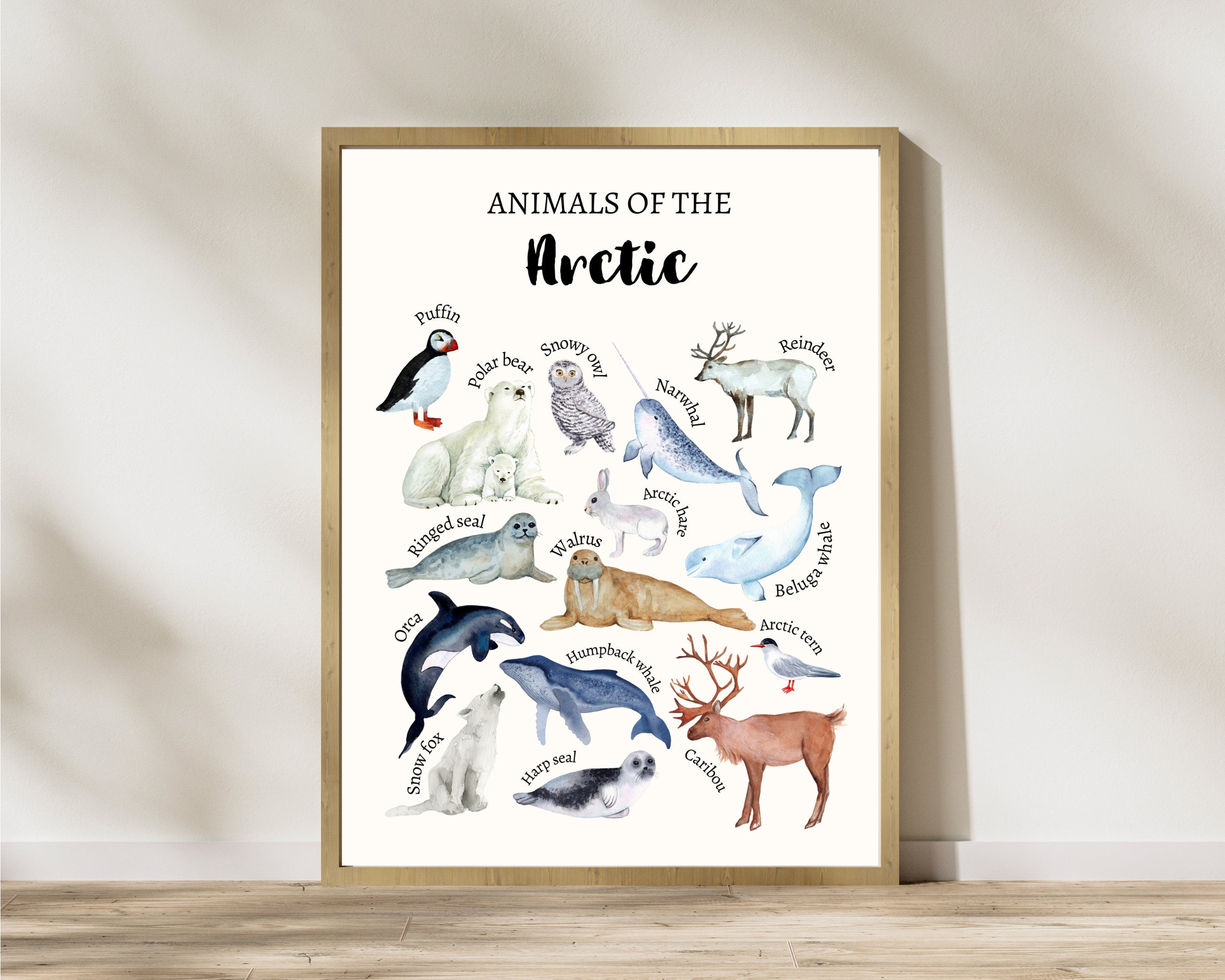 Polar Arctic Animals Educational Prints Arctic and Antarctic Animals ...