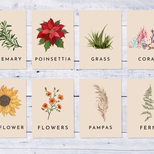 24 Plants Flashcards Montessori Botanical Flashcards for Kids Nature ...