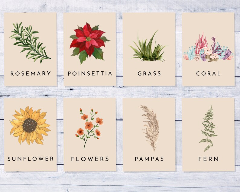 24 Plants Flashcards Montessori Botanical Flashcards for Kids Nature ...