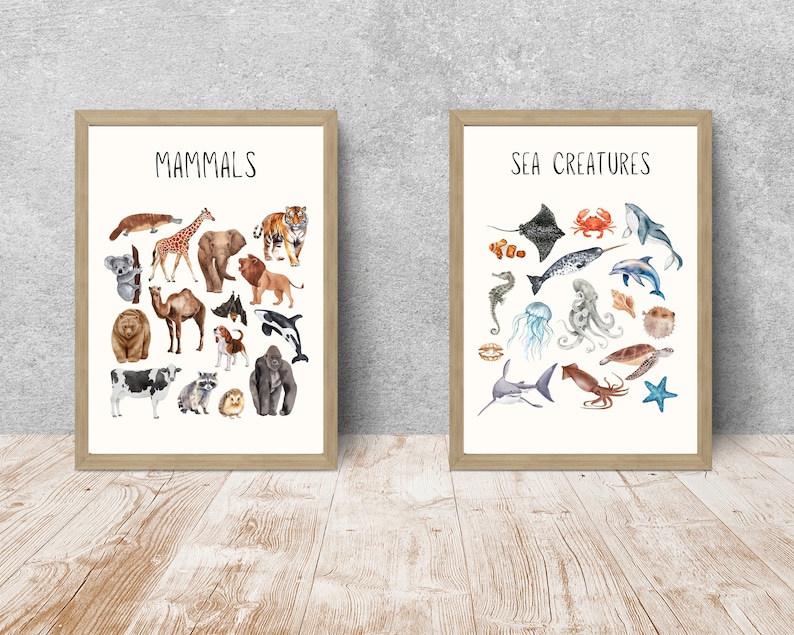 Animal Classifications Prints Set of 6 Homeschool Printable Animal ...