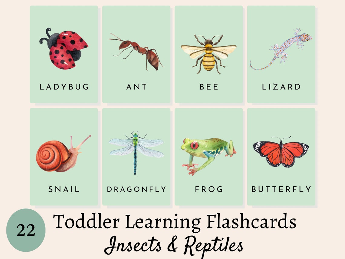 22 Insects and Reptiles Flashcards Montessori Flashcards - Etsy