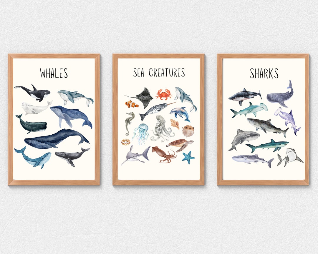Sea Creatures Poster Set of 3 Whales and Sharks Prints Ocean Themed ...
