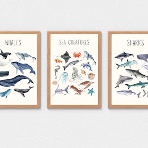 Sea Creatures Poster Set of 3 | Whales and Sharks Prints | Ocean Themed ...