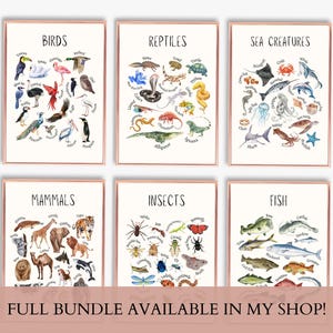 Reptiles Educational Print | Nature Playroom Wall Art | Reptile Art for ...