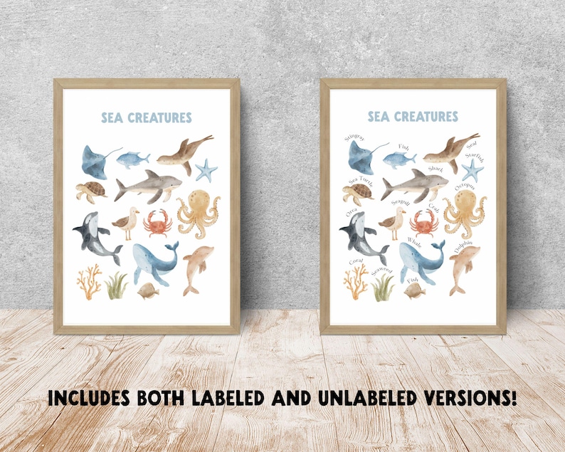 Sea Creatures Educational Prints | Homeschool Ocean Unit Study | Ocean ...