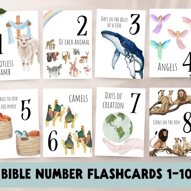 Number Flash Cards - Etsy