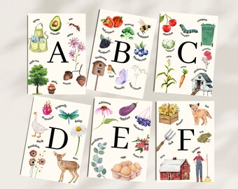 Vintage Flashcards - Etsy