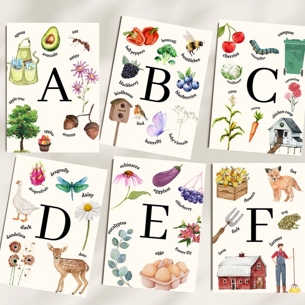 Alphabet Flashcards - Etsy