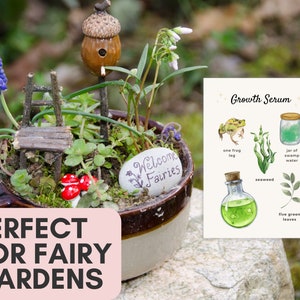 Mud Kitchen Magic Potions Recipe Cards | Fairy Garden Decorations ...