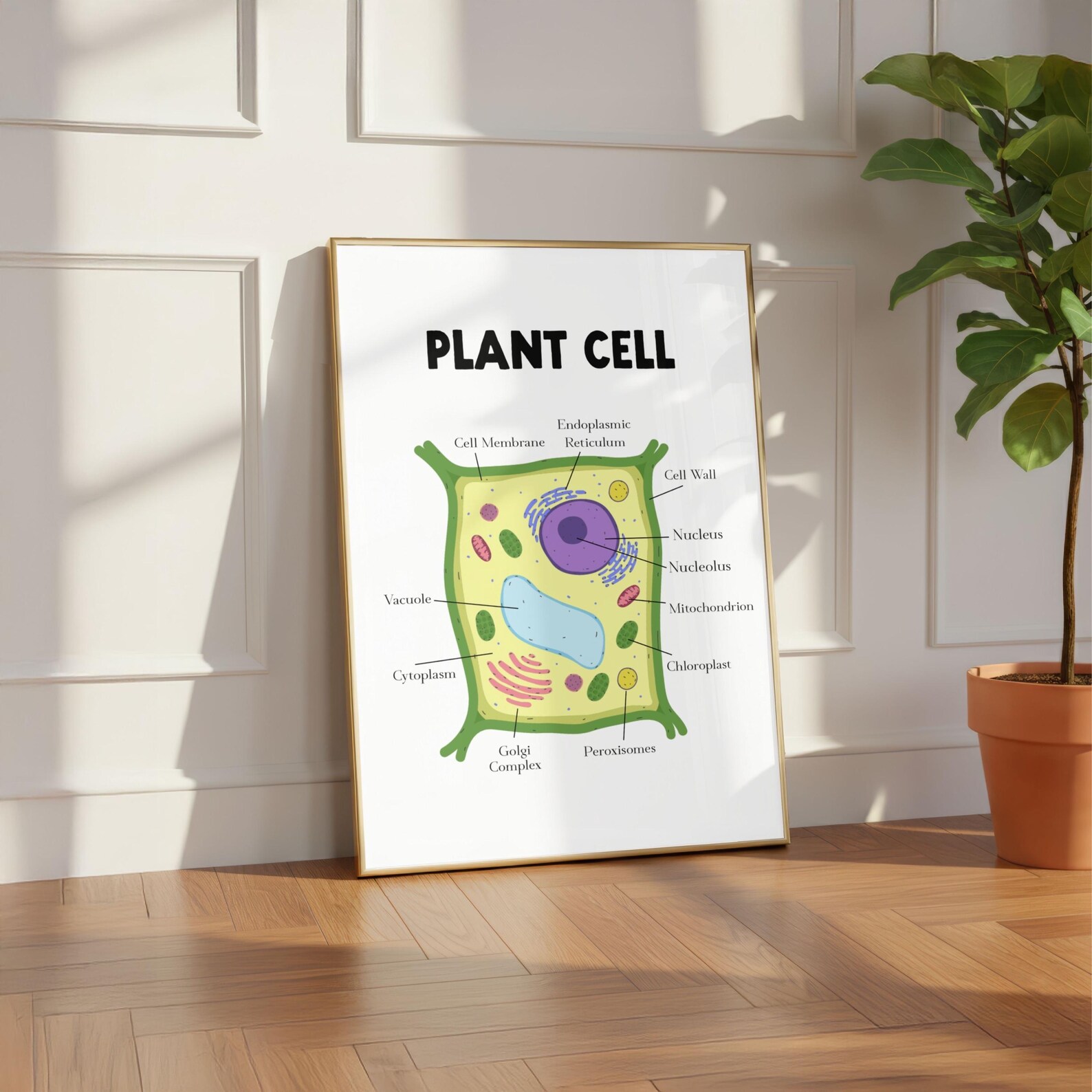 Labeled Plant & Animal Cell Biology Posters | Educational Science Wall ...